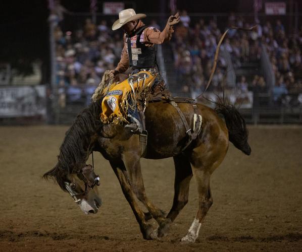 PHOTO GALLERY: Cache County Rodeo 2020 | Photo Galleries ...