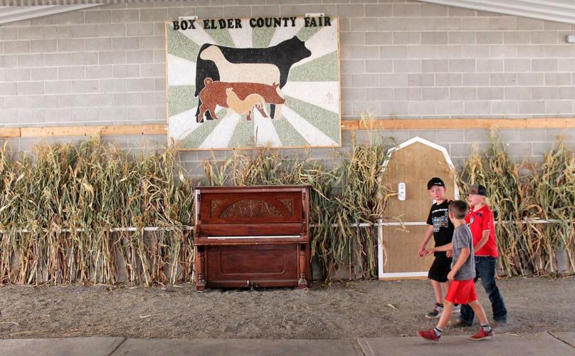 The biggest attraction at the Box Elder County Fair was the live feed ...