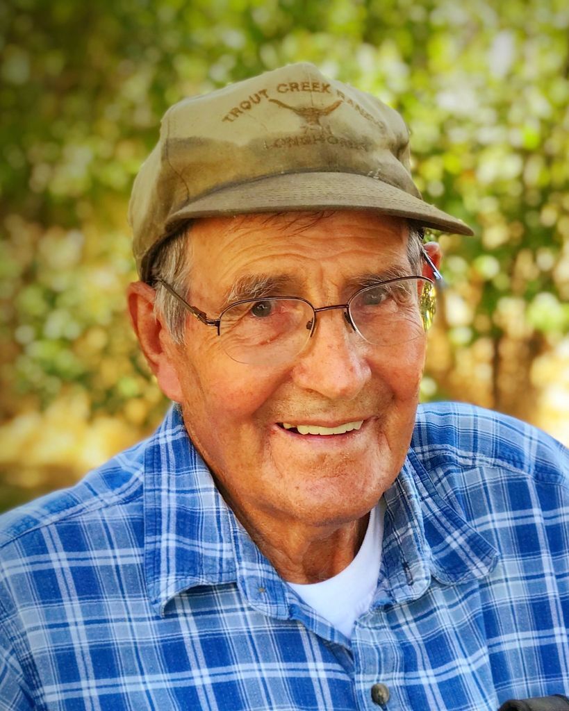 Franklin Dee Farnsworth | Obituaries | cachevalleydaily.com