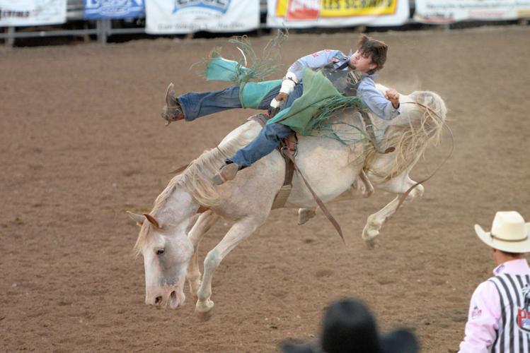 PHOTO GALLERY: Cache County Fair and Rodeo 8-12-16 | Photo Galleries ...