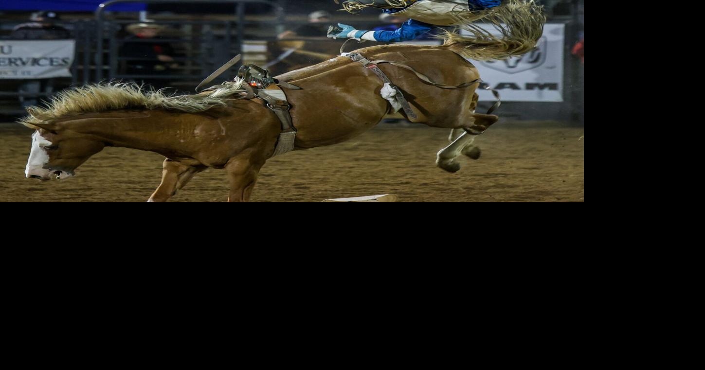 PHOTO GALLERY: Cache County Fair and Rodeo Aug. 12, 2023 | Photo ...