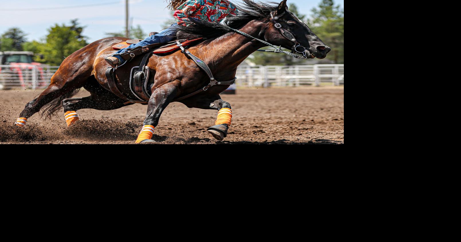GALLERY: Lewiston Jr. Rodeo 2025 | Multimedia | cachevalleydaily.com