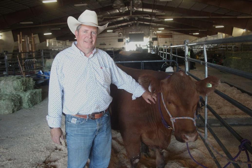 The Cache County Fair and Rodeo starts Wednesday | News ...