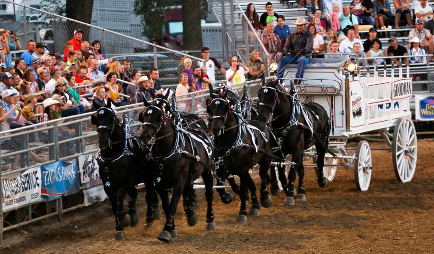 PHOTO GALLERY: Cache County Fair and Rodeo 8-11-16 | Local News ...