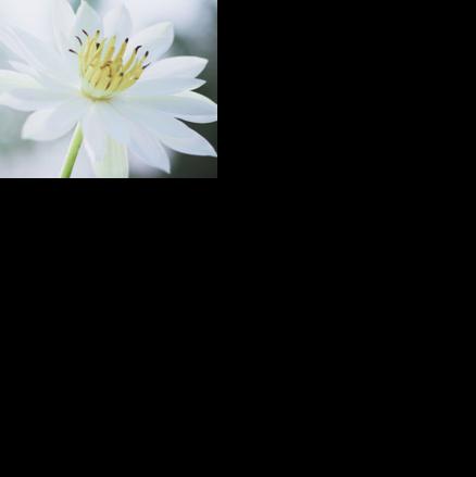 Annette Hovey Hull | Obituaries | cachevalleydaily.com