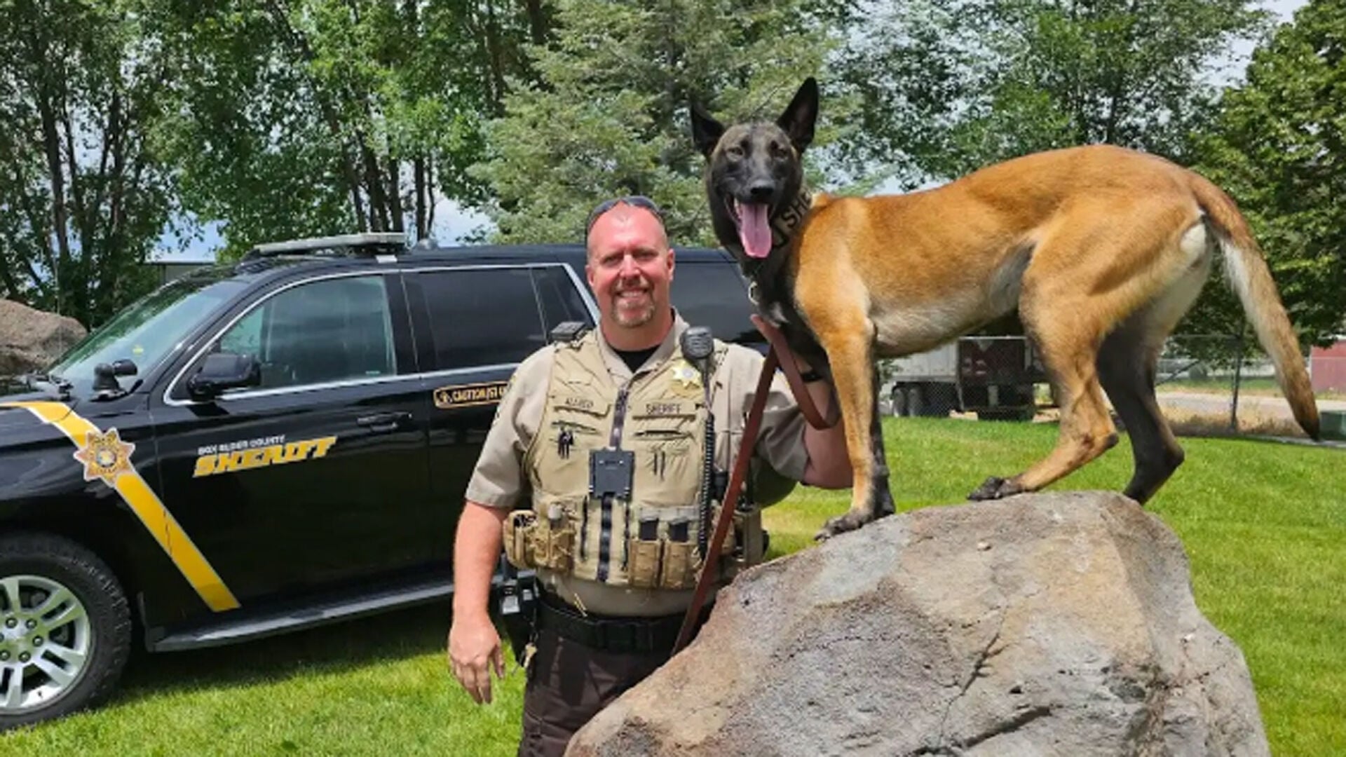 Box Elder County deputy and K9 injured in Tremonton shooting identified ...