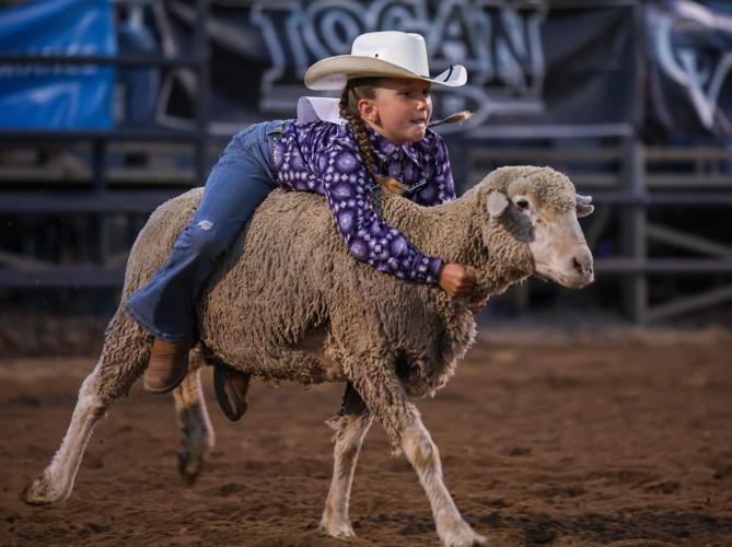 PHOTO GALLERY: Cache County Fair and Rodeo Aug. 12, 2023 | Photo ...