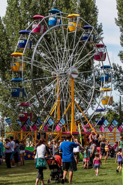 Elephants coming back to Cache County Fair | Local News ...