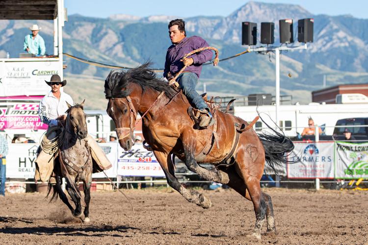GALLERY: Lewiston Rodeo Night 2 | Multimedia | cachevalleydaily.com