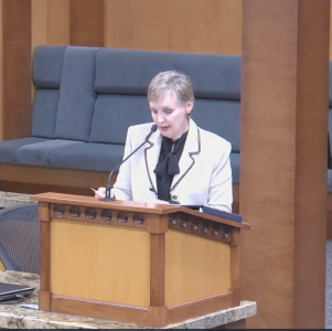 Logan Mayor delivers “State of the City” address – Logan is progressive ...