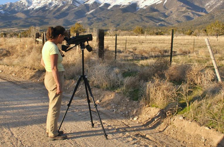 BLM, RINS seek volunteers to monitor raptor nests | Local News ...