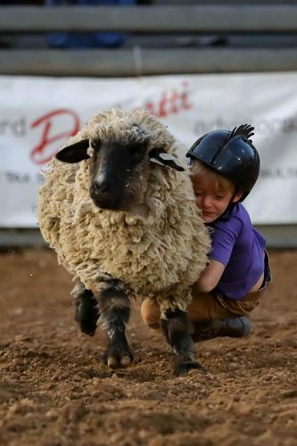 PHOTO GALLERY: Hyrum Star Spangled Rodeo 2023 – night two | Photo ...