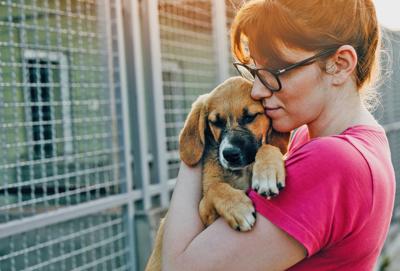 County animal impound facility projected to open in May | Local News ...