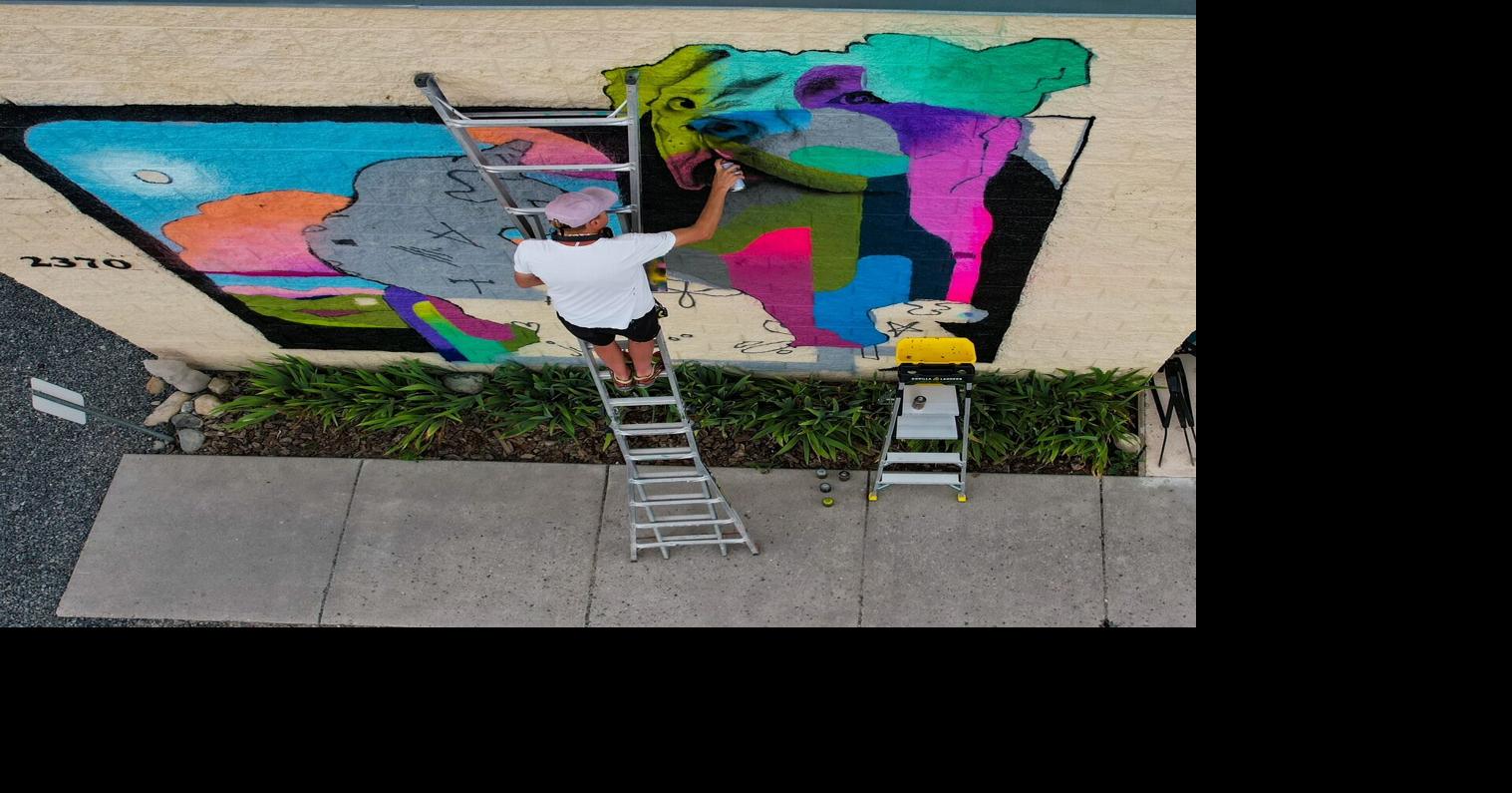 New mural gives Cache Humane Society a new look | Local News ...
