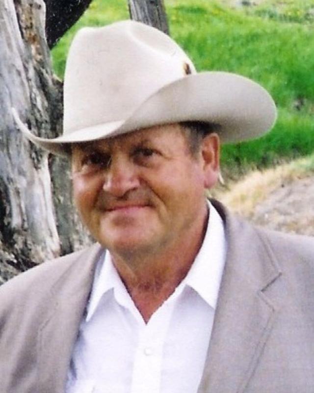 Lyle J. Steed | Obituaries | cachevalleydaily.com