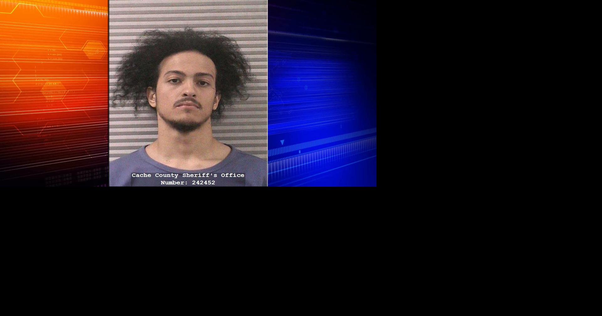 Logan convicted sex-offender sentenced to prison for assaulting woman ...