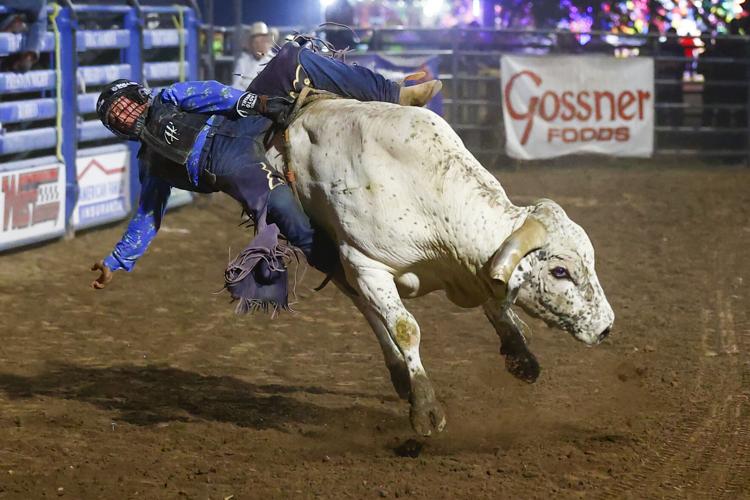 PHOTO GALLERY: Preston Night Rodeo - Aug. 1, 2024 | Multimedia ...