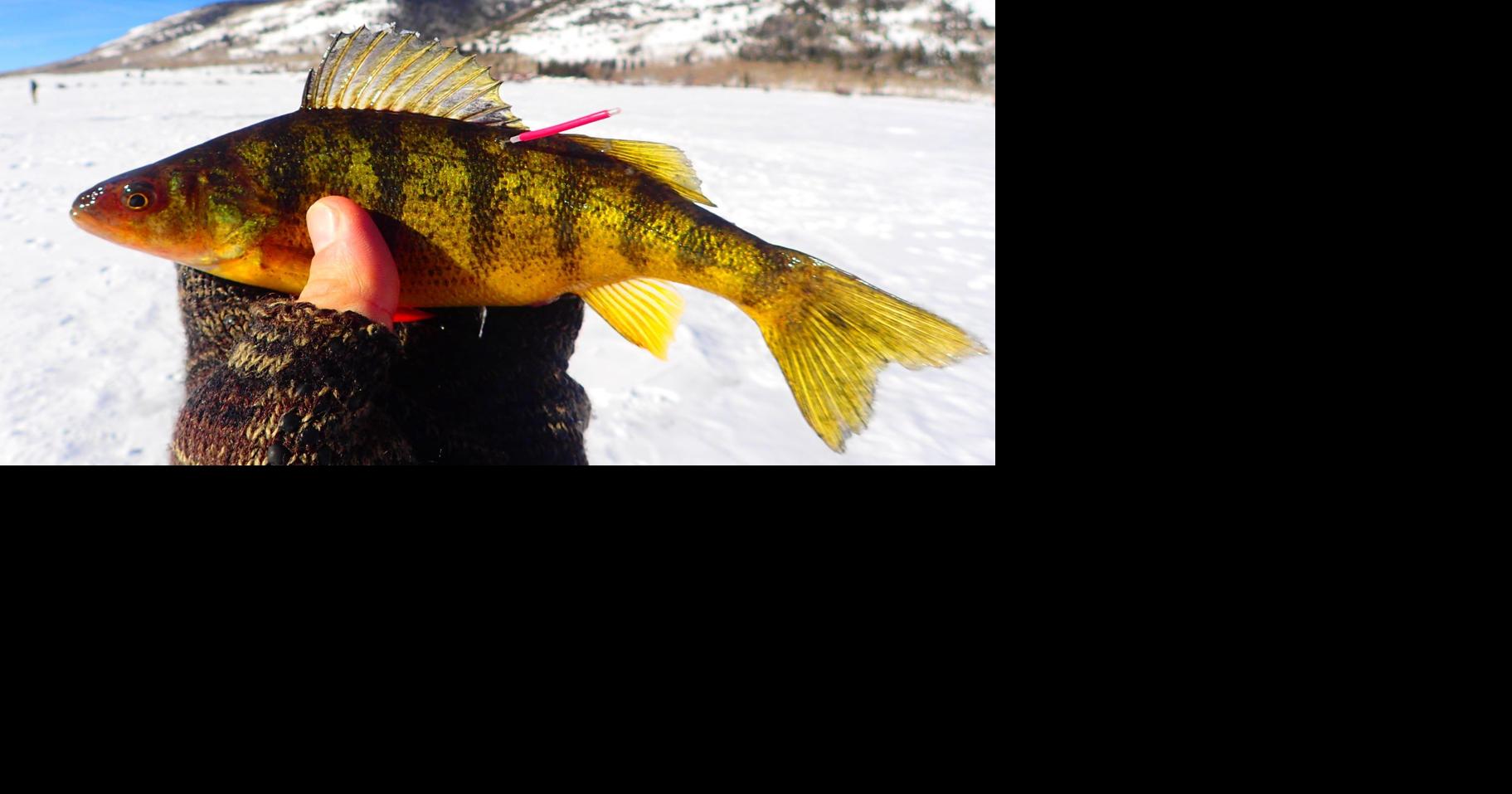 DWR lists Mantua Reservoir as one of the best ice fishing locations in ...