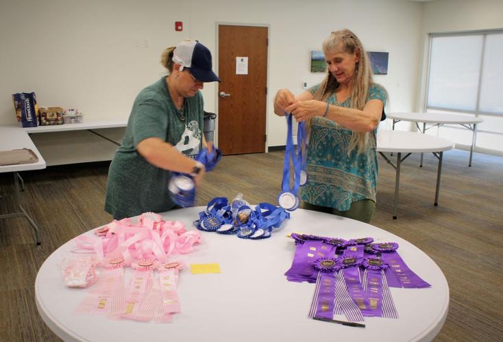 It’s fair week in Cache County | Local News | cachevalleydaily.com
