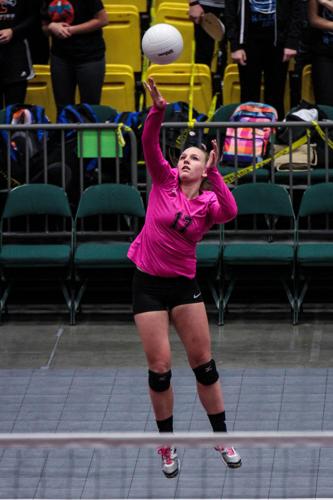 PHOTO GALLERY: Sky View 0, Timpview 3 4A volleyball championship game ...