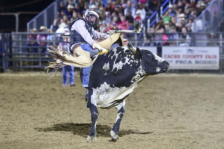 GALLERY: Cache County Fair and Rodeo - Aug. 8, 2025 | Multimedia ...