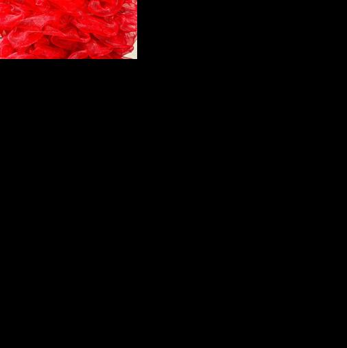 Bear Lake Raspberry Days celebration begins | Local News ...