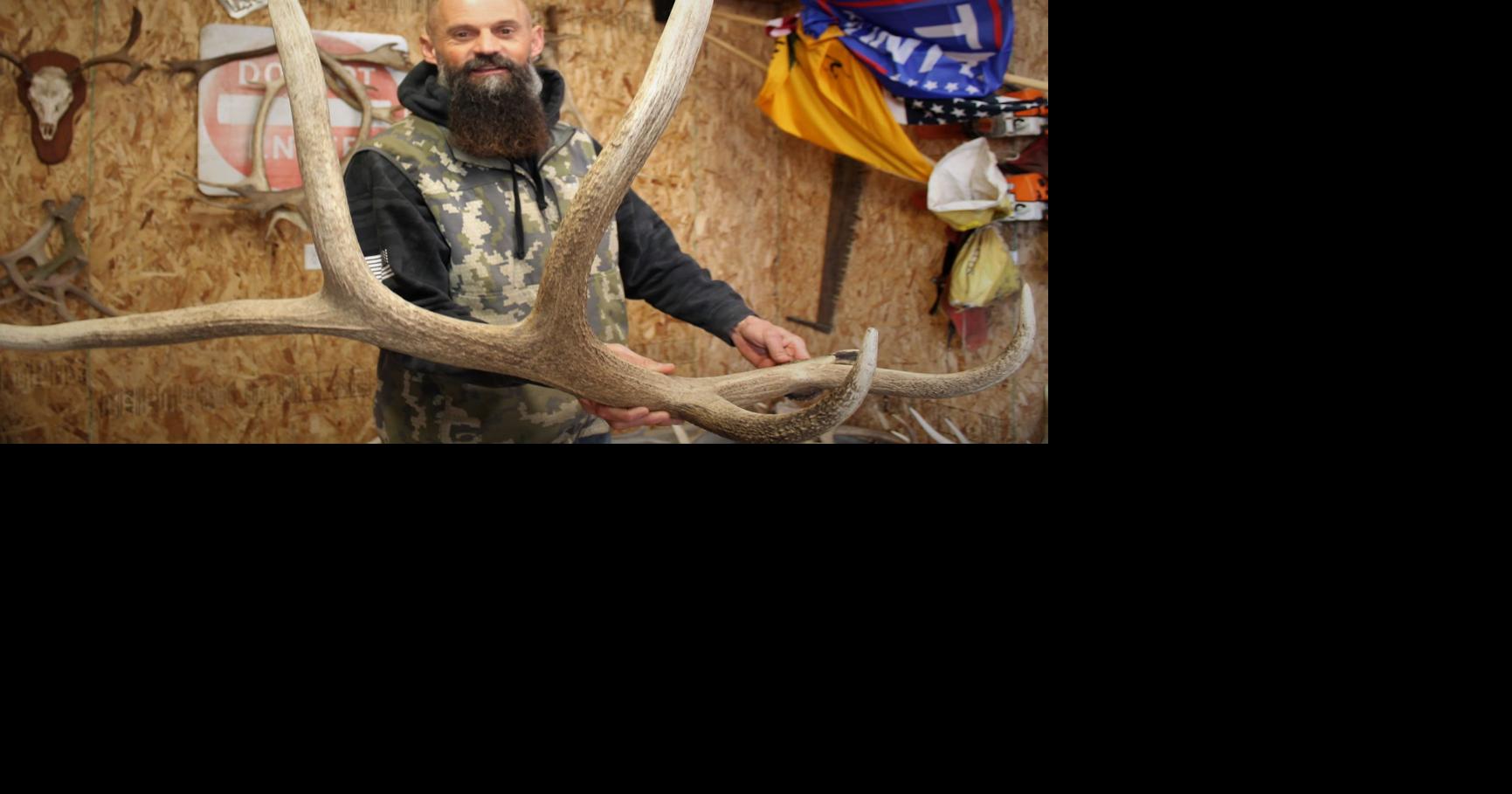 Collecting antler sheds can be a great springtime activity, but ...