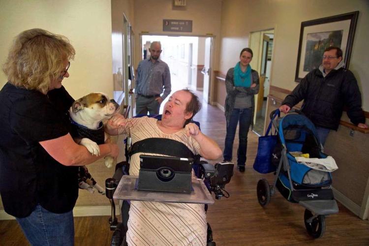 Disabled Utah pup works as therapy dog | Local News | cachevalleydaily.com