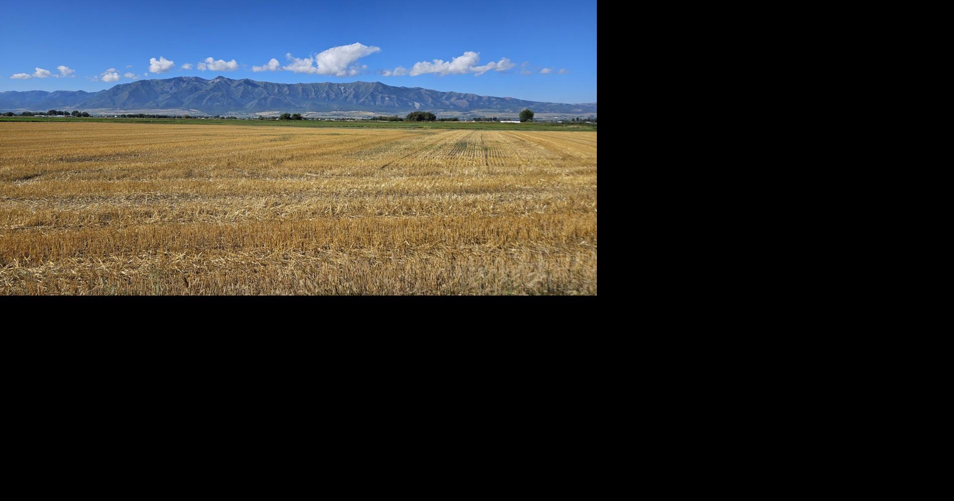 Utah precipitation was more than 200% above normal in August | Local ...
