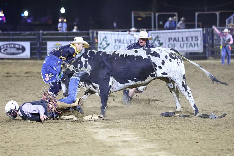 GALLERY: Cache County Fair and Rodeo - Aug. 8, 2025 | Multimedia ...