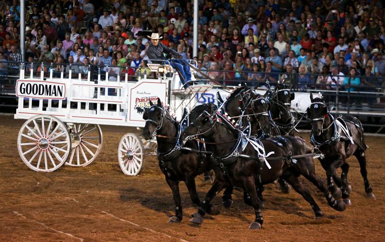 PHOTO GALLERY: Cache County Fair and Rodeo 8-11-16 | Local News ...