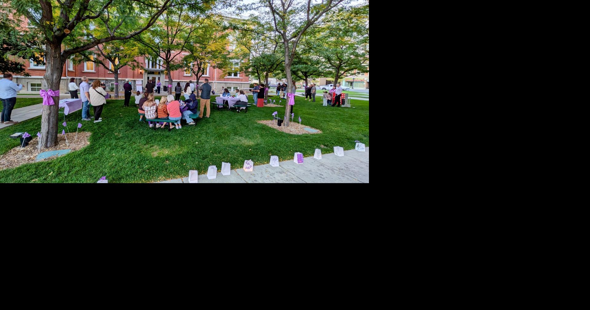 GALLERY: Light The Night with CAPSA | | cachevalleydaily.com