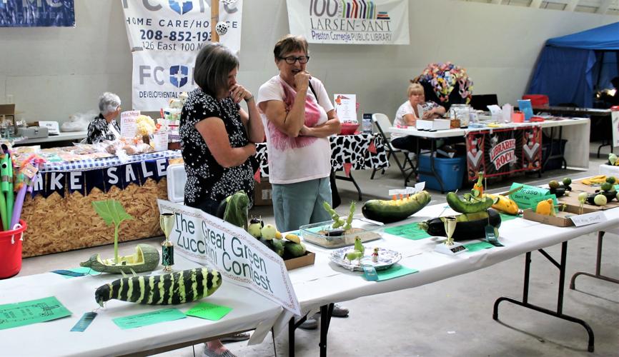 Franklin County Fair is bustling with activities | Local News ...