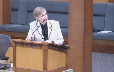 Logan Mayor delivers “State of the City” address – Logan is progressive ...