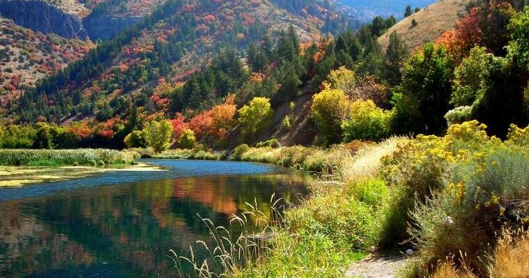 Logan Ranger District hosting event Saturday for National Trails Day ...