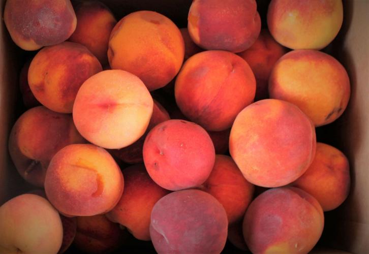 It’s peach time in Perry | Local News | cachevalleydaily.com