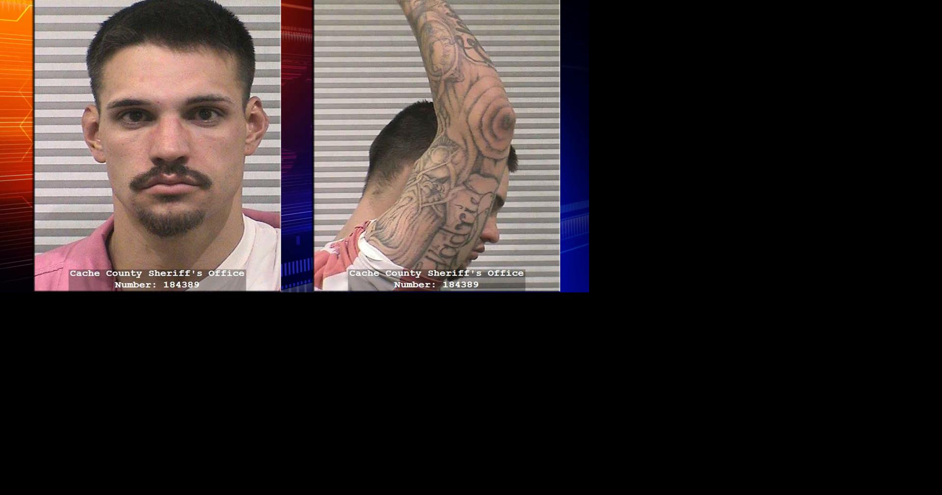Logan man sentenced to prison for car burglaries and running from ...