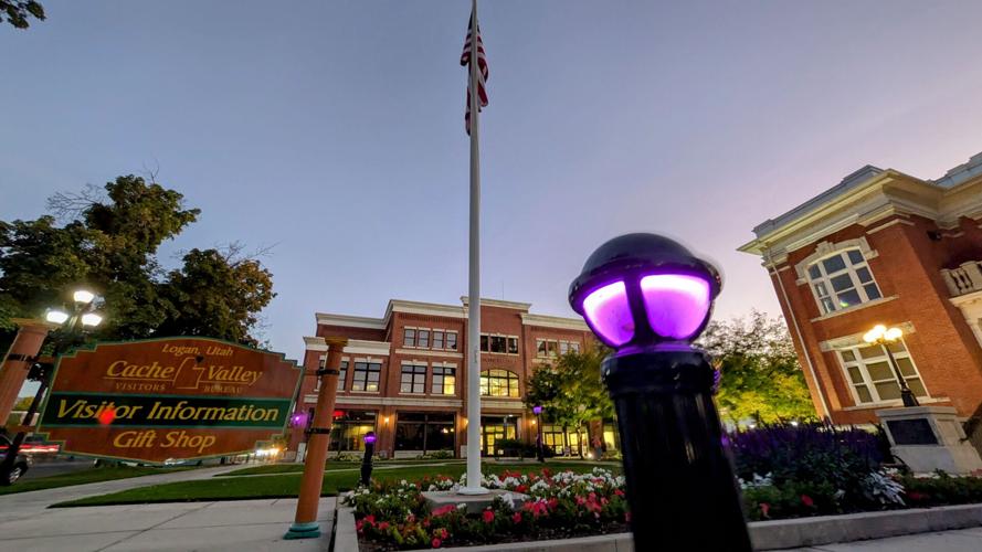 GALLERY: Light The Night with CAPSA | | cachevalleydaily.com