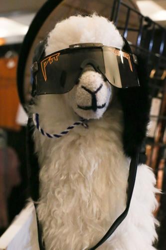 PHOTO GALLERY: Logan Holiday Gift Show 2022 | Photo Galleries ...