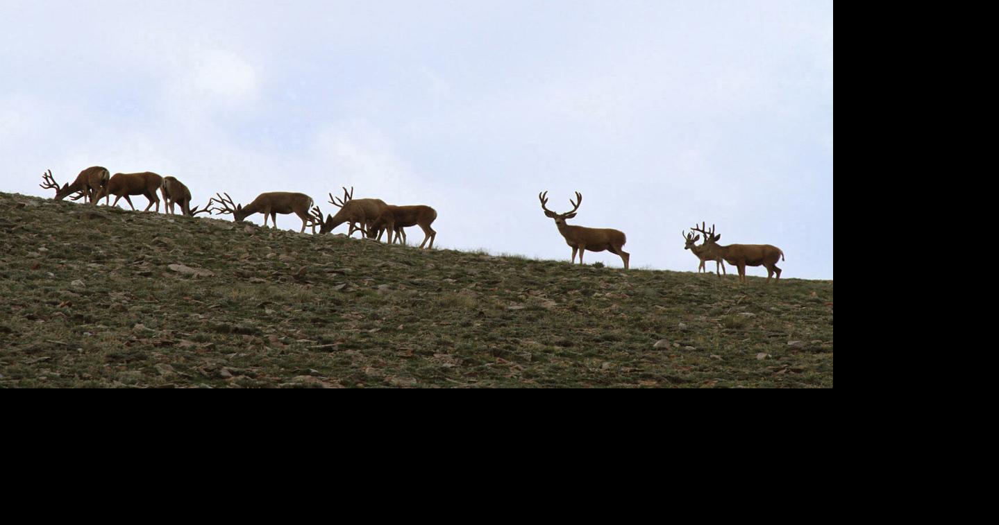 DWR offers new shed regs | News | cachevalleydaily.com