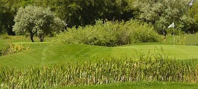 Logan River cited as best public golf course in Utah by sports website ...