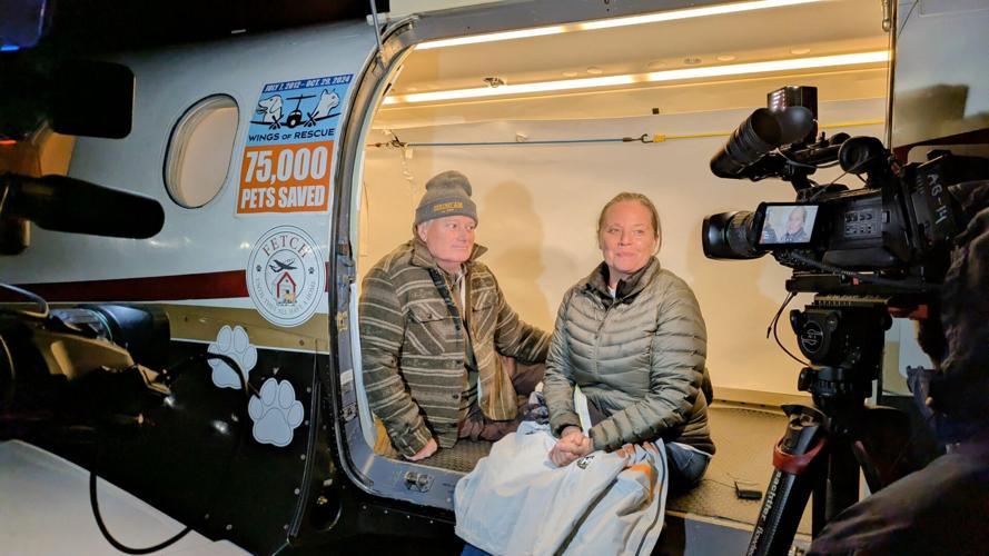 Seven LA shelter dogs arrive by airplane in Cache Valley in search of ...