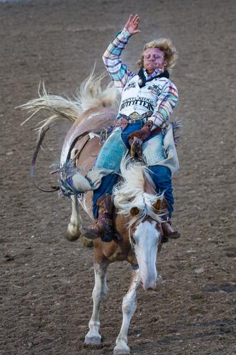 GALLERY: Cache County Fair and Rodeo | Photo Galleries ...