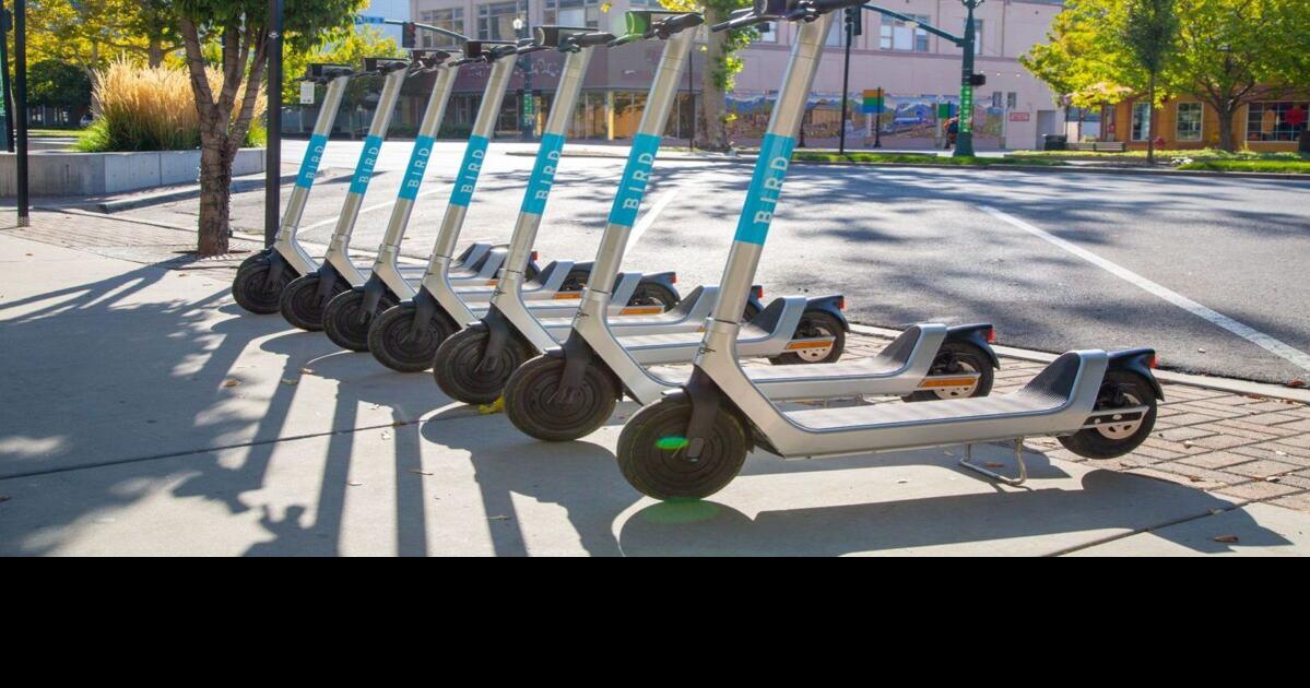 Bird micro-mobility electric scooters now available on streets of Logan ...