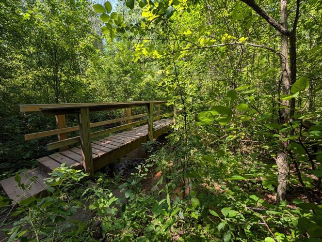 A walk through the Cheltenham Badlands in Caledon