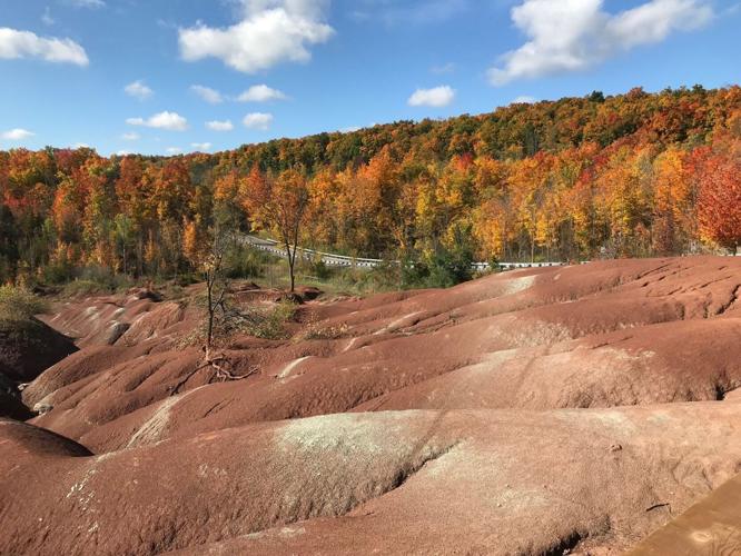 How to view Caledon’s fall colours without getting a ticket