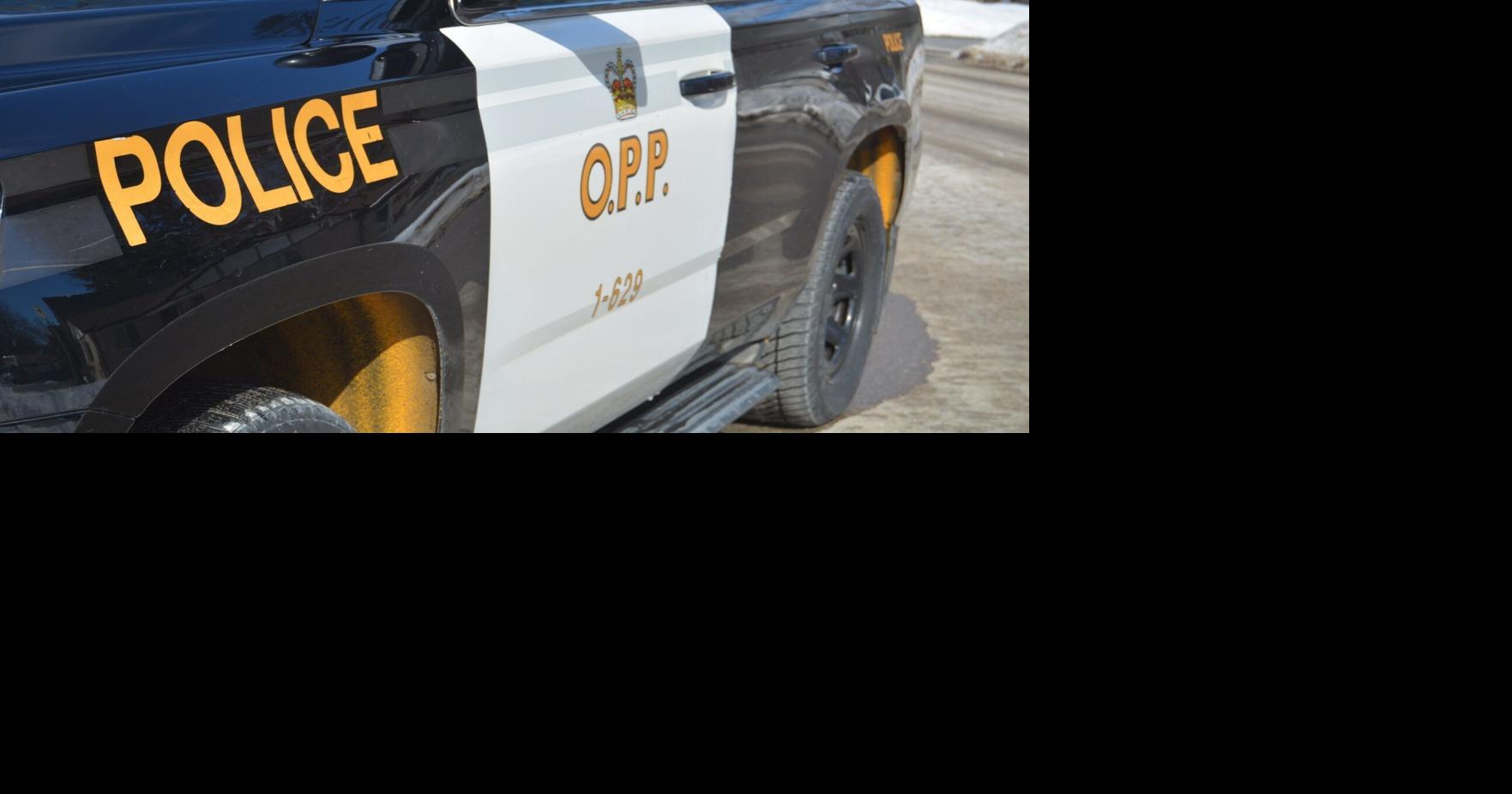 Caledon OPP seeking public help in theft investigation