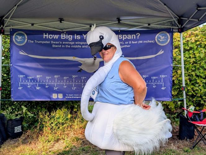 Supporters rally to save Caledon’s ‘Swan Lake’