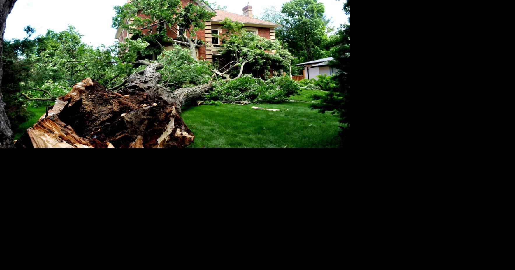 Large fallen tree limb causes significant damage to heritage home in Bolton
