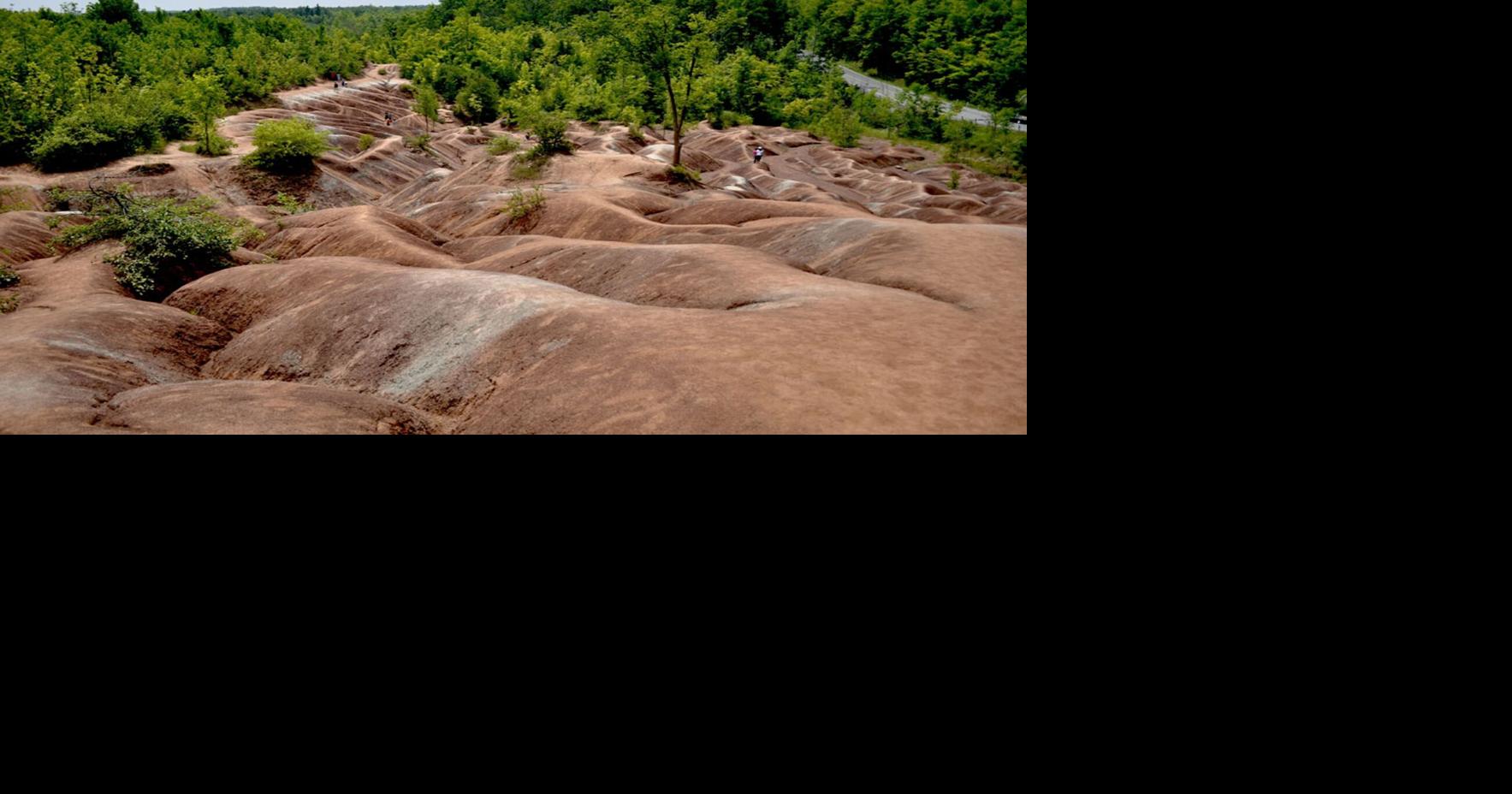 Things to do in Caledon Victoria Day Weekend 2019